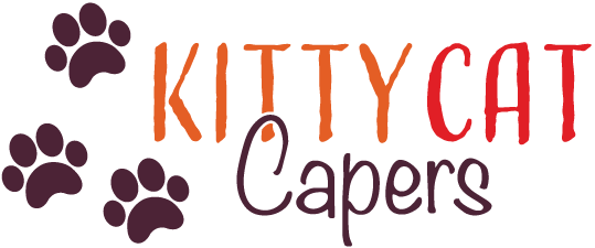 Top 10 Things to Know Before Getting a Cat - Kitty Cat Capers